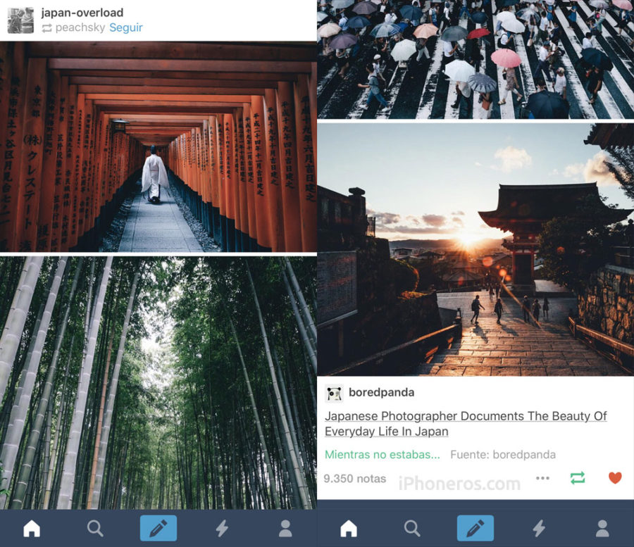 Tumblr se actualiza con mensajería instantánea entre sus usuarios ...